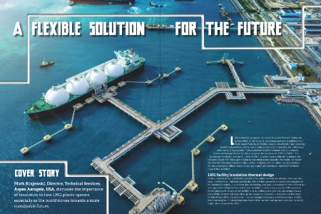 A flexible solution for the future | LNG Industry
